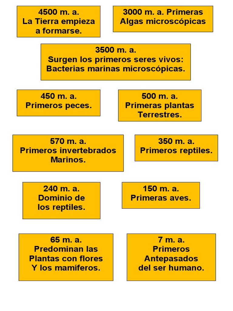 El desarrollo de la vida en la Tierra: desde las primeras formas de ...