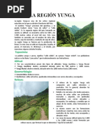Flora y Fauna de La Región Yunga: Recuerda | PDF | Plantas | Naturaleza