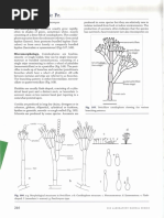 Nustro Steakhouse Menu Overview | PDF | Sauce | Salad