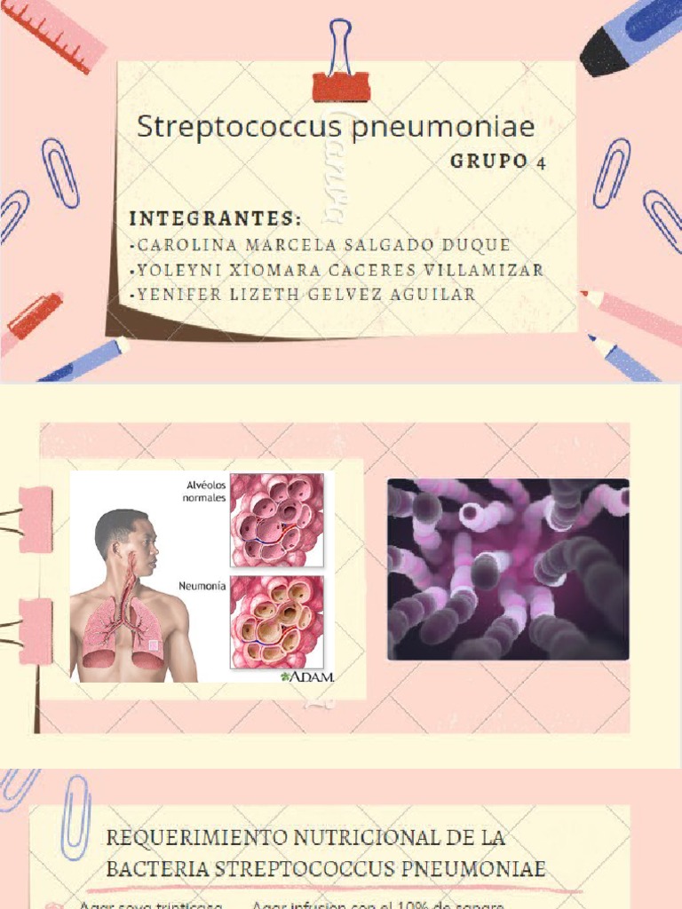 Streptococcus Pneumoniae | PDF