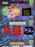 Mapa Conceptual de Bacterias | PDF | Las bacterias | Citoplasma