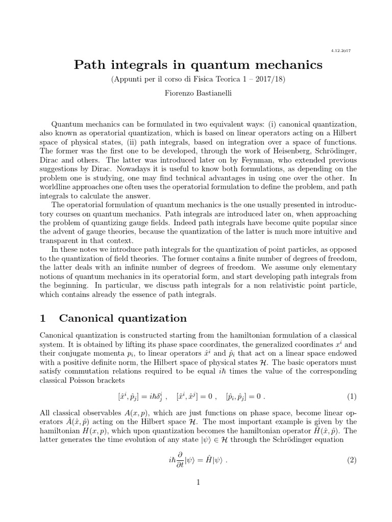 Path Integrals in Quantum Mechanics: 1 Canonical Quantization | PDF ...