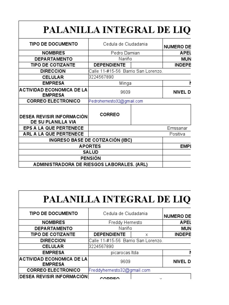 Planillla Pila Excel | PDF | Empleo | Business