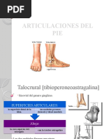 Anatomía y Biomecánica del Pie | PDF | Pie | Tobillo