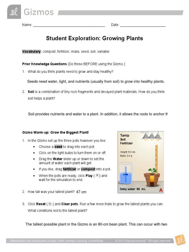 Growing Plants Gizmo Student Writable | PDF | Plants | Seed