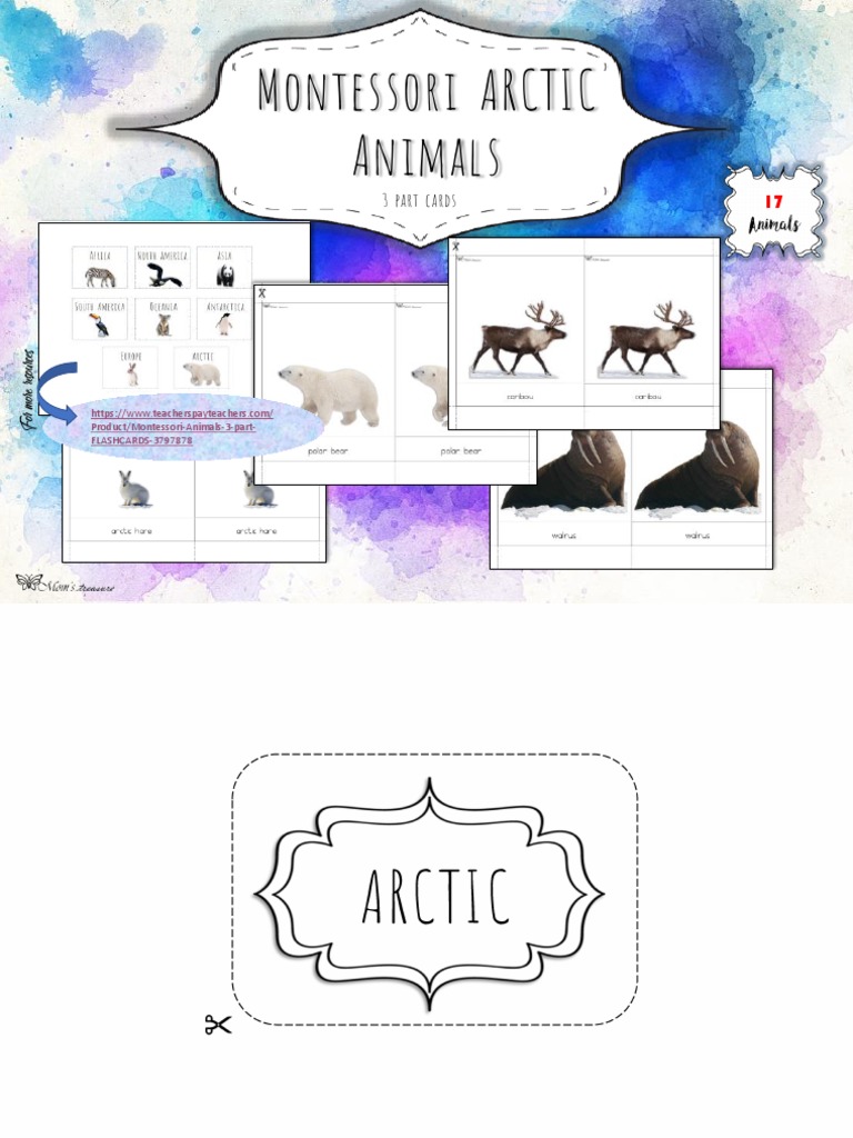 Montessori ARCTIC Animals: 3 Part Cards | PDF