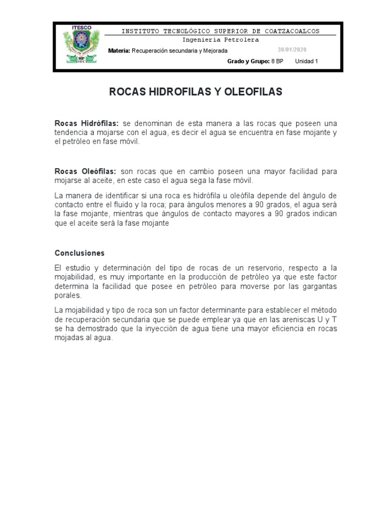 Hidrofilas y Oleofilas RSM | PDF | Tecnología