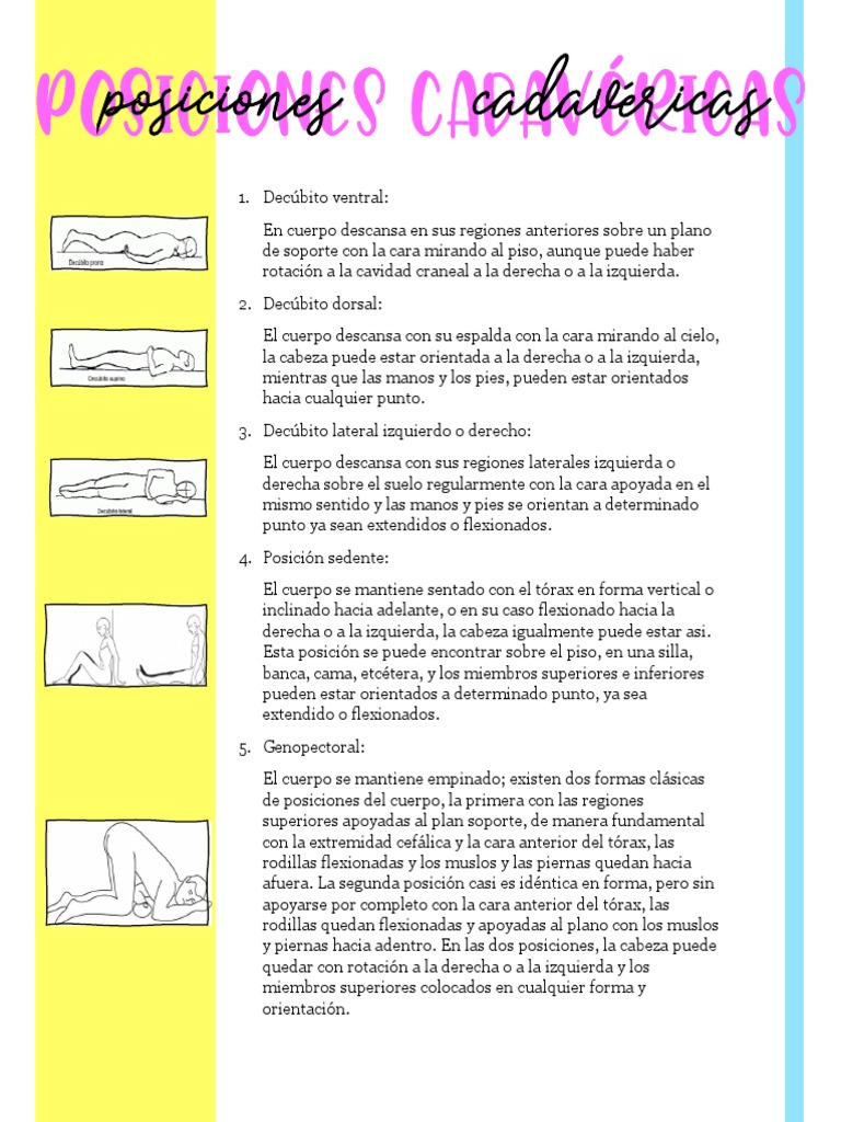 Posiciones Cadavéricas | PDF | Términos anatómicos de ubicación | Naturaleza