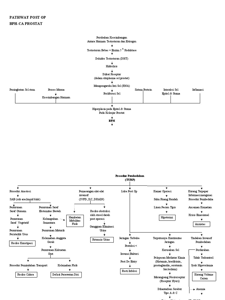 Pathway Post Op | PDF