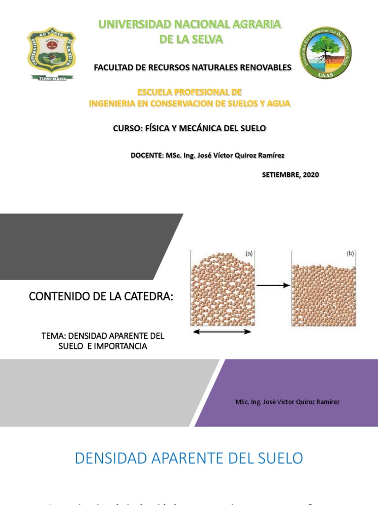 Clase 11. Densidad Aparente Importancia | PDF | Suelo | Densidad
