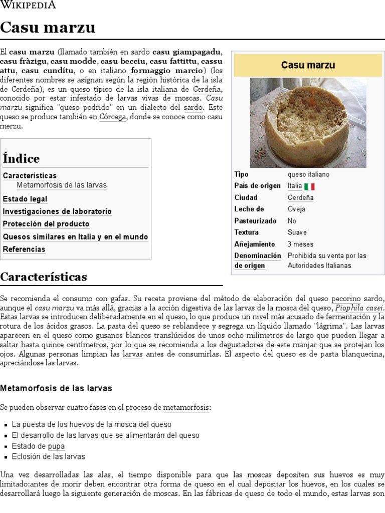 Casu Marzu - Wikipedia, La Enciclopedia Libre | PDF | Cocina italiana | Queso