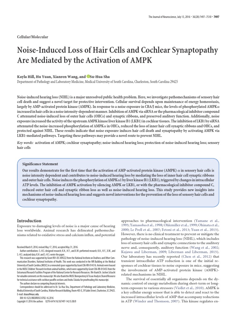 Noise Induced Loss of Hair Cells and Cochlear Synaptopathy Are Mediated ...