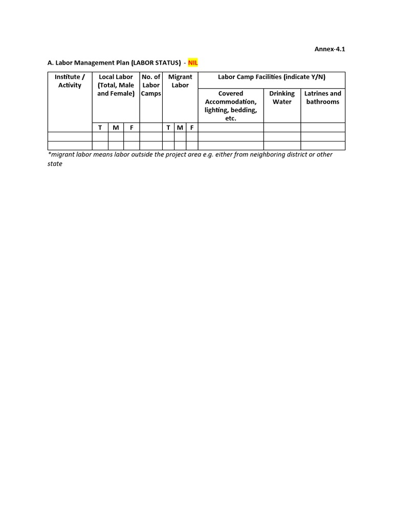 Labor Management Plan Overview | PDF