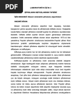 Informatika Kitabi PDF | PDF