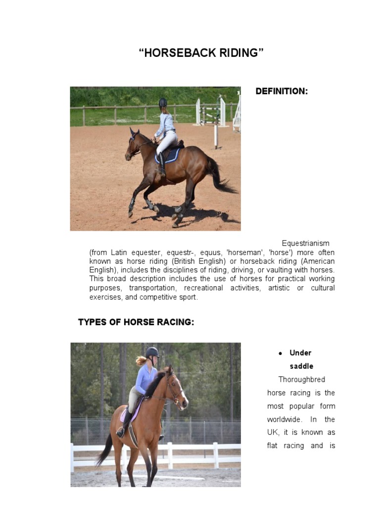 "Horseback Riding": Definition | PDF | Equestrianism | Horses