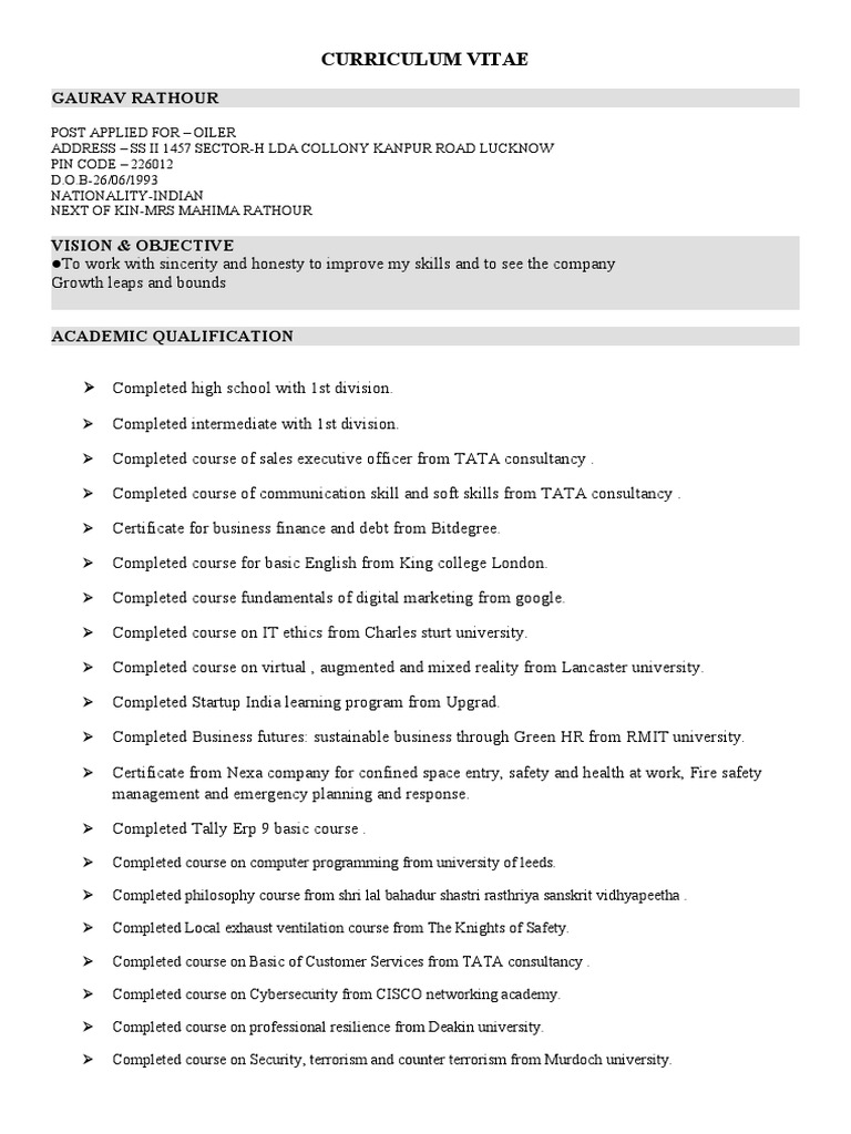 Curriculum Vitae: Gaurav Rathour | PDF | Business | Computing And Information Technology