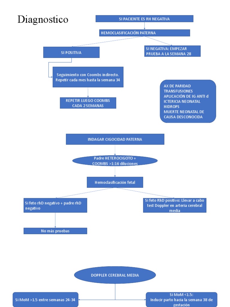 Incompatibilidad RH | PDF | Feto | El embarazo