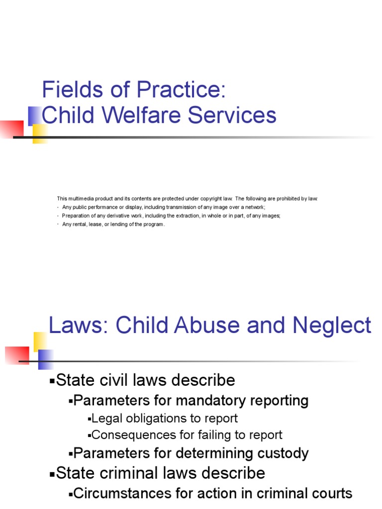 Fields of Practice: Child Welfare Services | PDF