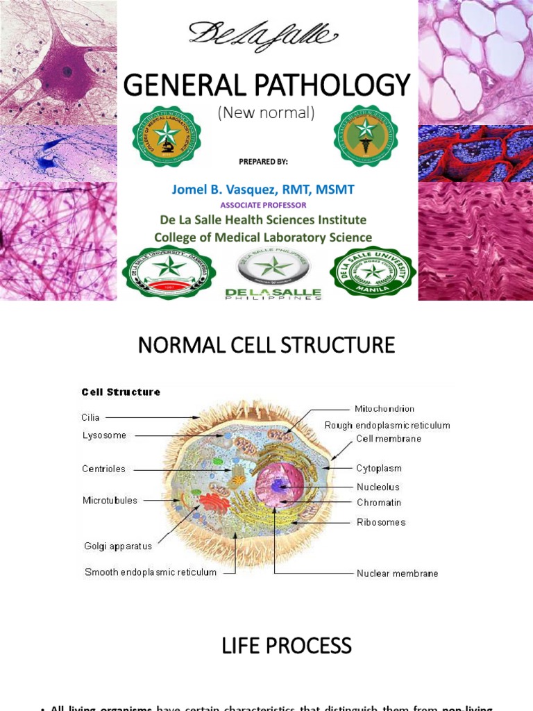 General Pathology First PPT Lecture PDF | PDF | Translation (Biology) | Rna