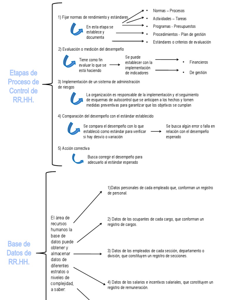 Esquemas Explicativos | PDF | Gestión de recursos humanos | Evaluación