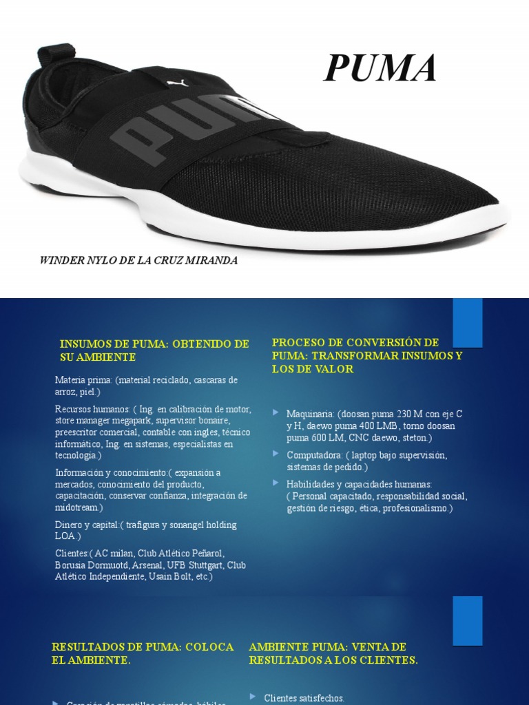 PUMA | PDF