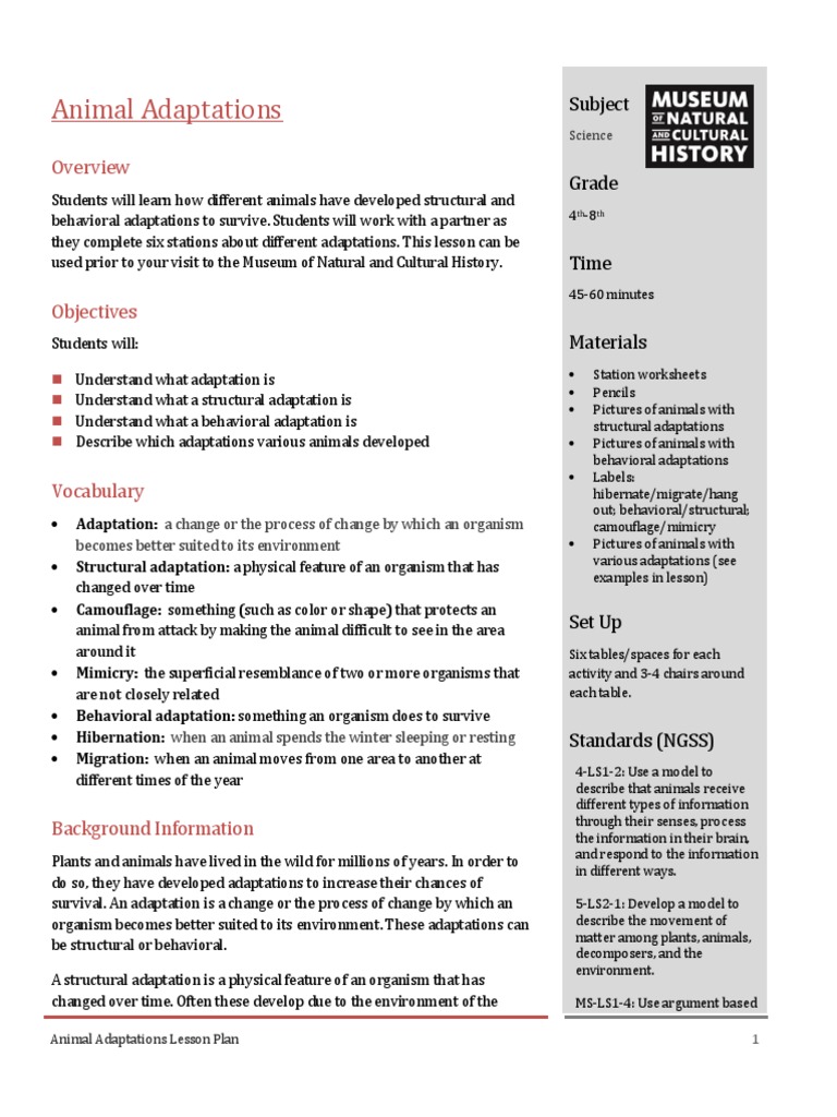 Animal Adaptations Lesson Plan PDF | PDF | Adaptation | Habitat