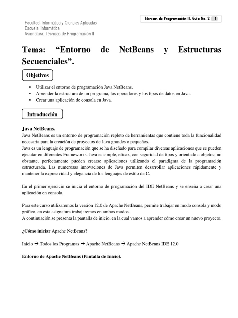 Guía sobre la creación de aplicaciones de consola en Java utilizando ...