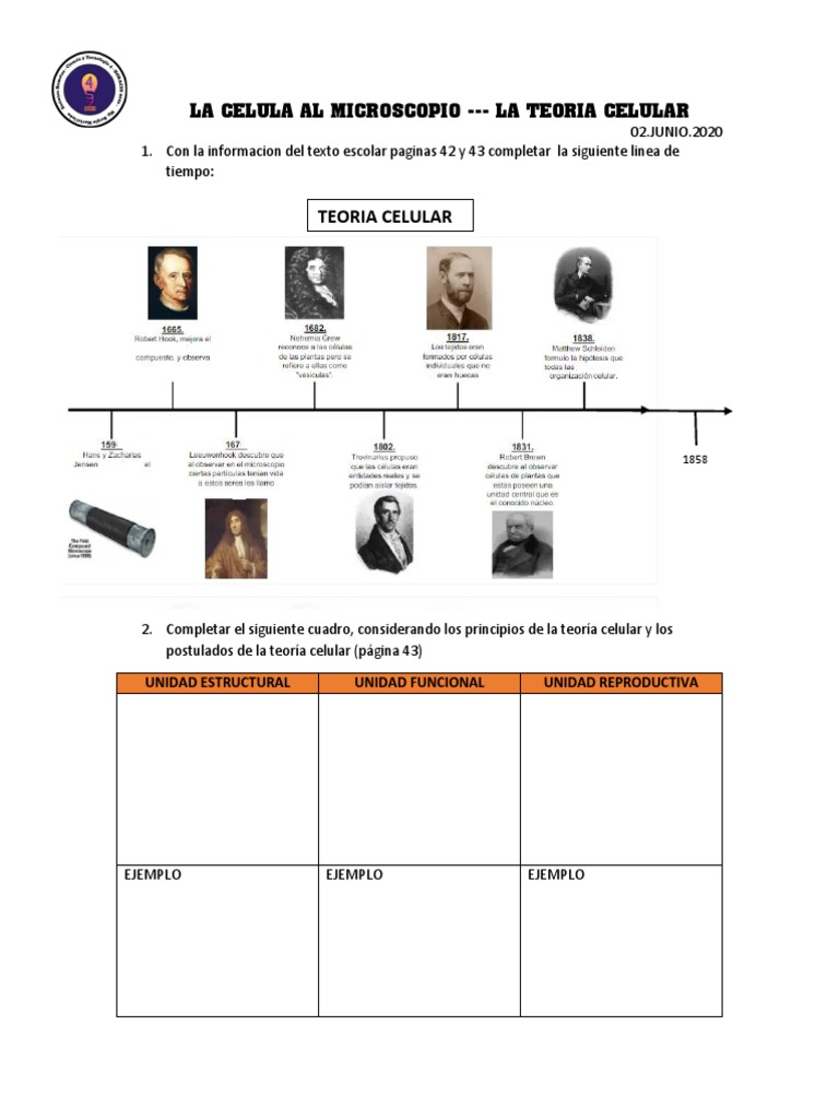 Teoria Celular y Morfologia 4 | PDF