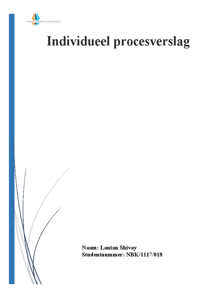Individueel Procesverslag 1 | PDF