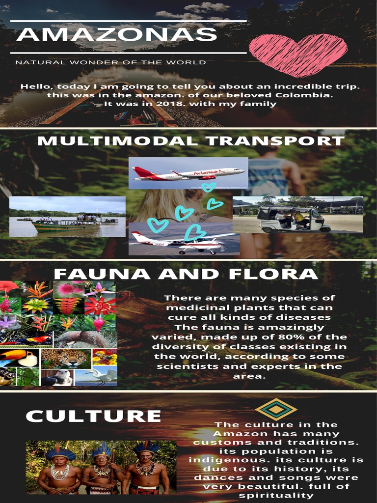 Multimodal Transport: Amazonas | PDF