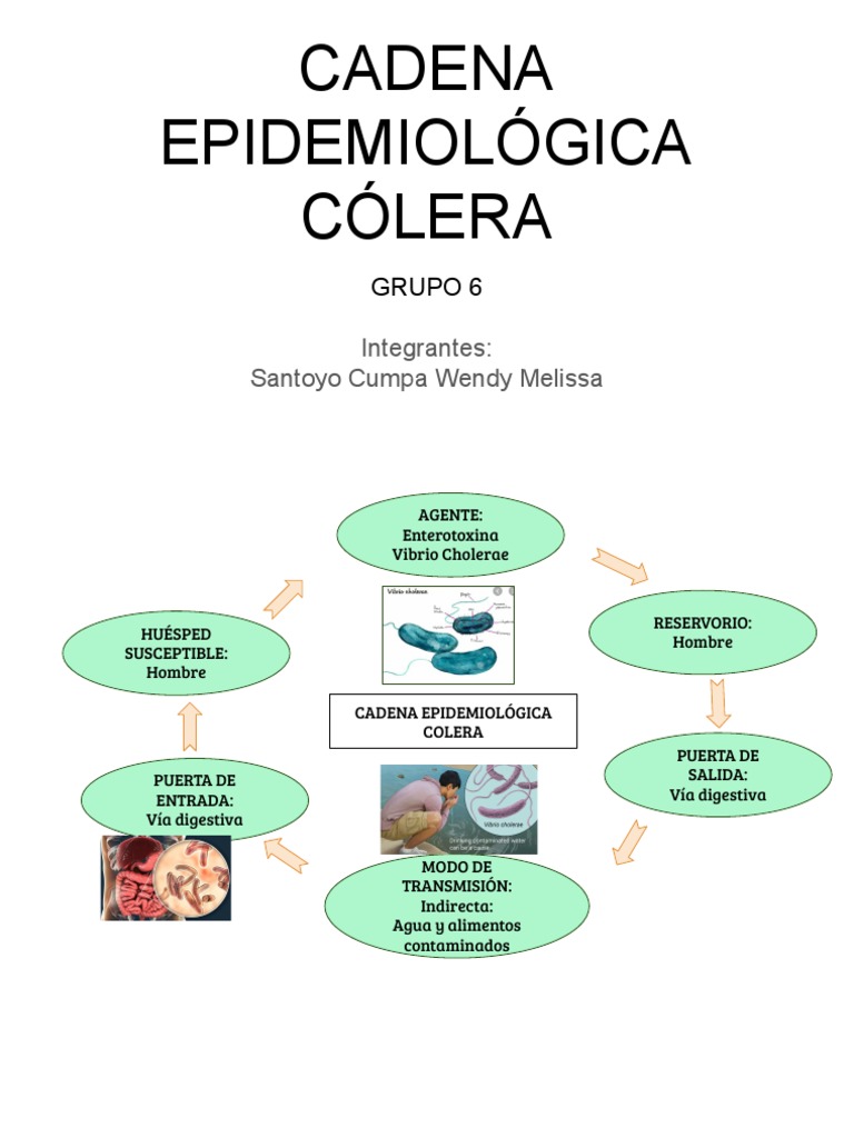 Cadena Epidemiologica - Cólera | PDF