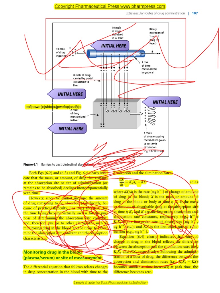 Extravascular Routes of Drug Administration: Monitoring Drug in The ...