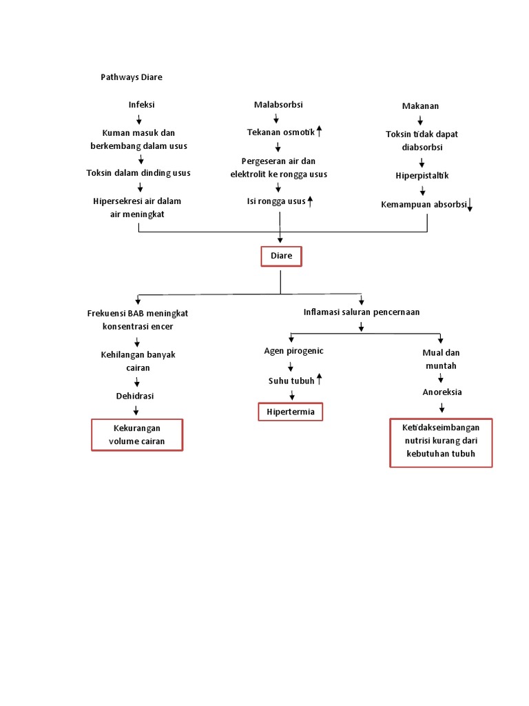 Pathways Diare | PDF
