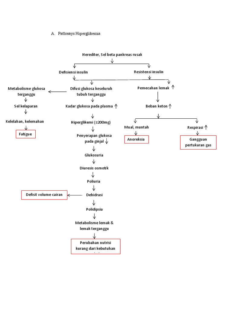 Pathways Hiperglikemia | PDF
