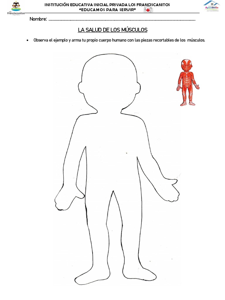 Ficha de Aplicacion Los Musculos PDF | PDF