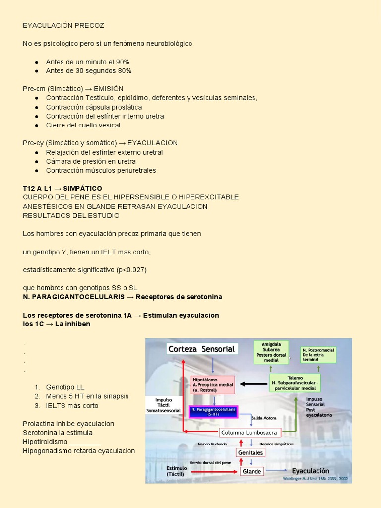 Eyaculación Precoz | PDF | Eyaculación | Orgasmo