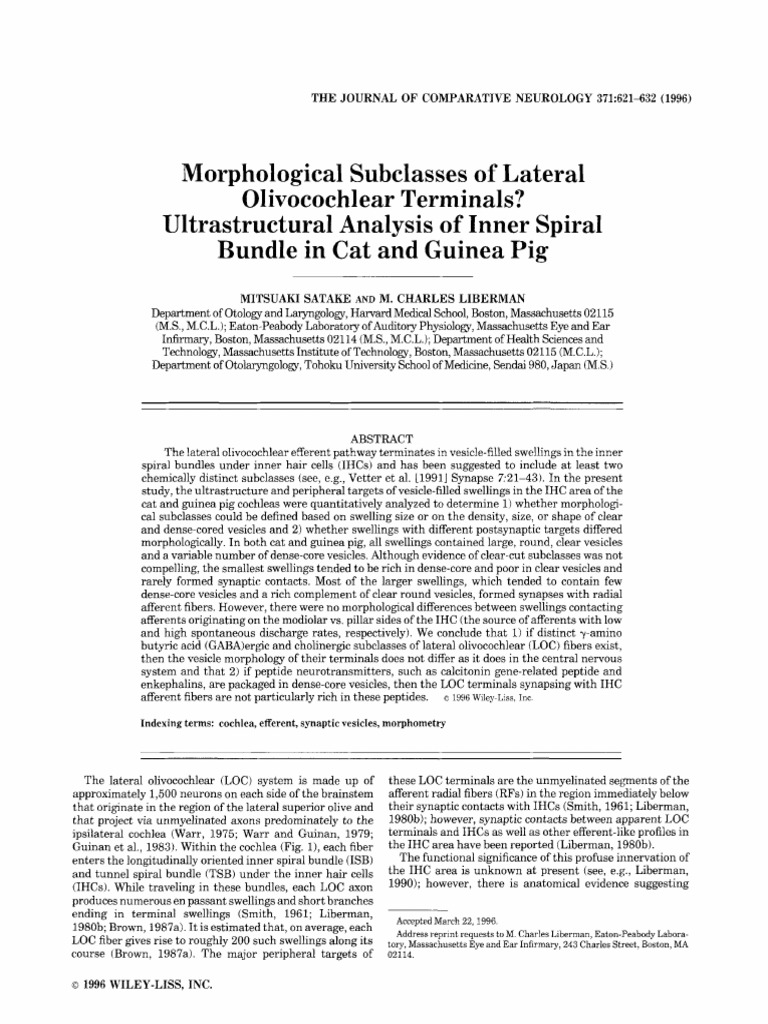 Morphological Subclasses of Lateral Olivocochlear Terminals ...