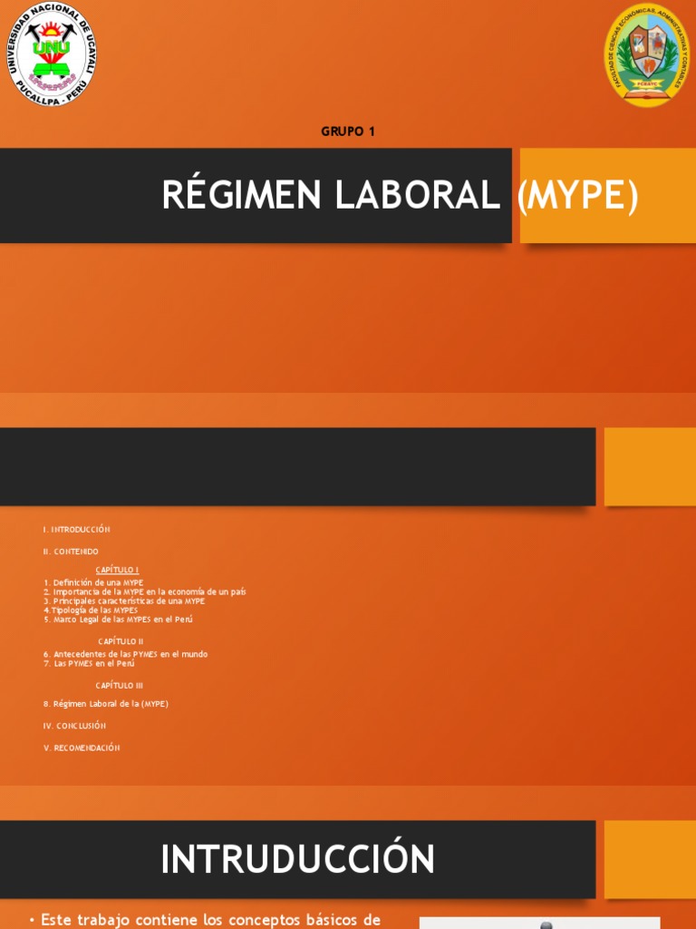 Regimen Laboral MYPE-1 | PDF | Pequeñas y medianas empresas | Salario