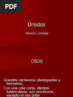 Ursidae | PDF | Osos | Depredadores