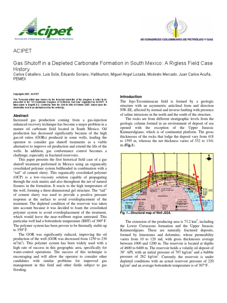 H05899 - H2Zero - Gas Shutoff (Carbonate Formations) | PDF | Petroleum ...