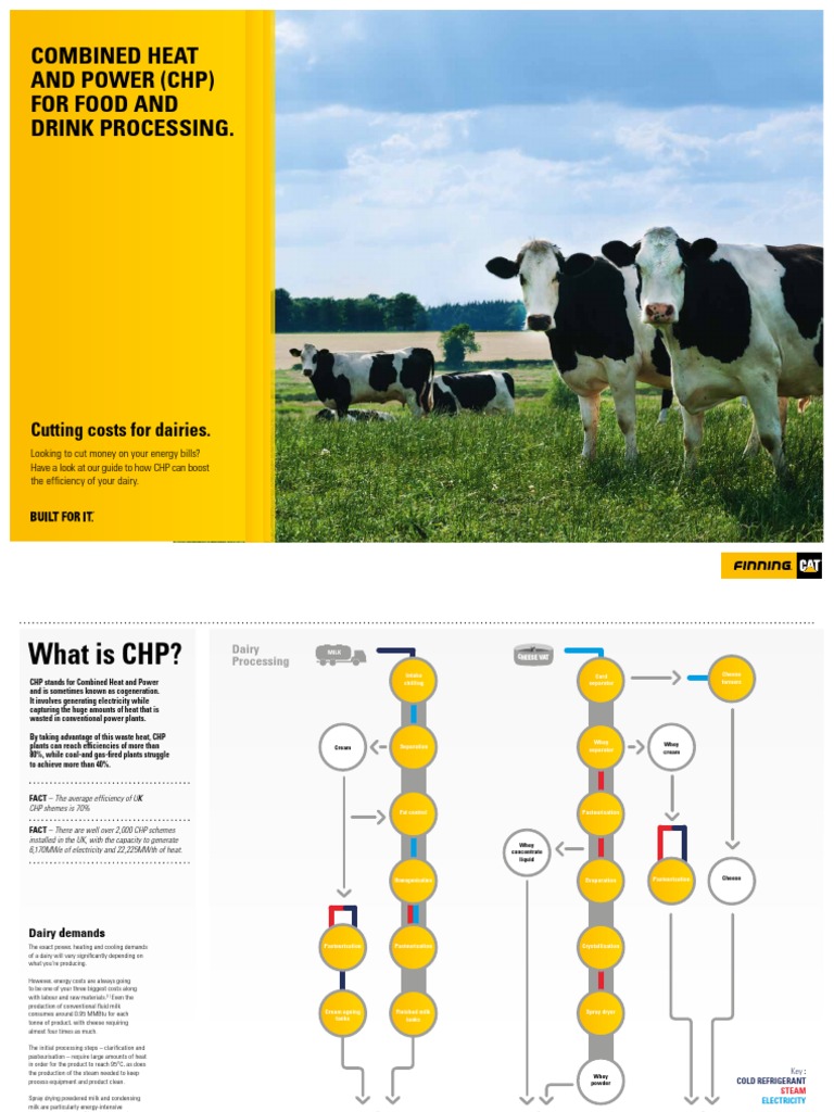 Combined Heat and Power (CHP) For Food and Drink Processing | PDF ...