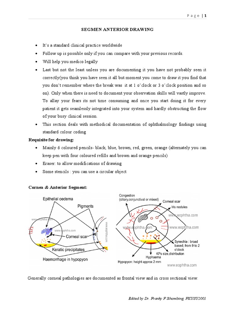 Anterior Segment and Fundus Drawing Color Coding Guide | PDF | Retina ...