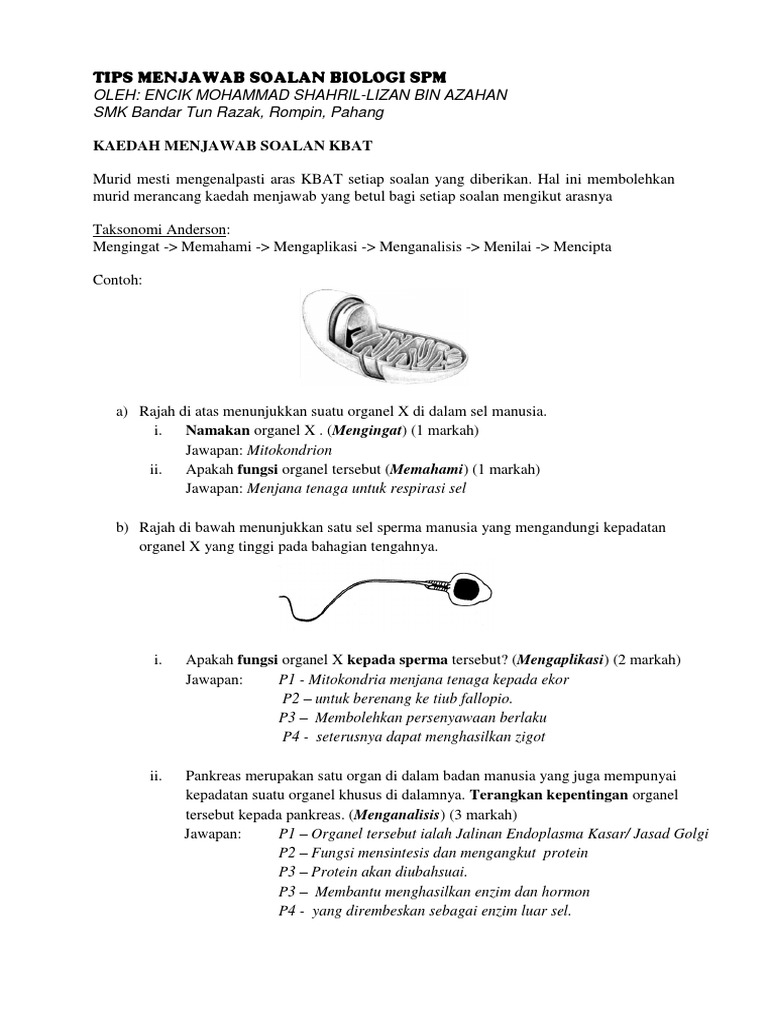 Tips Menjawab Soalan Biologi SPM PDF | PDF | Sains & Matematika