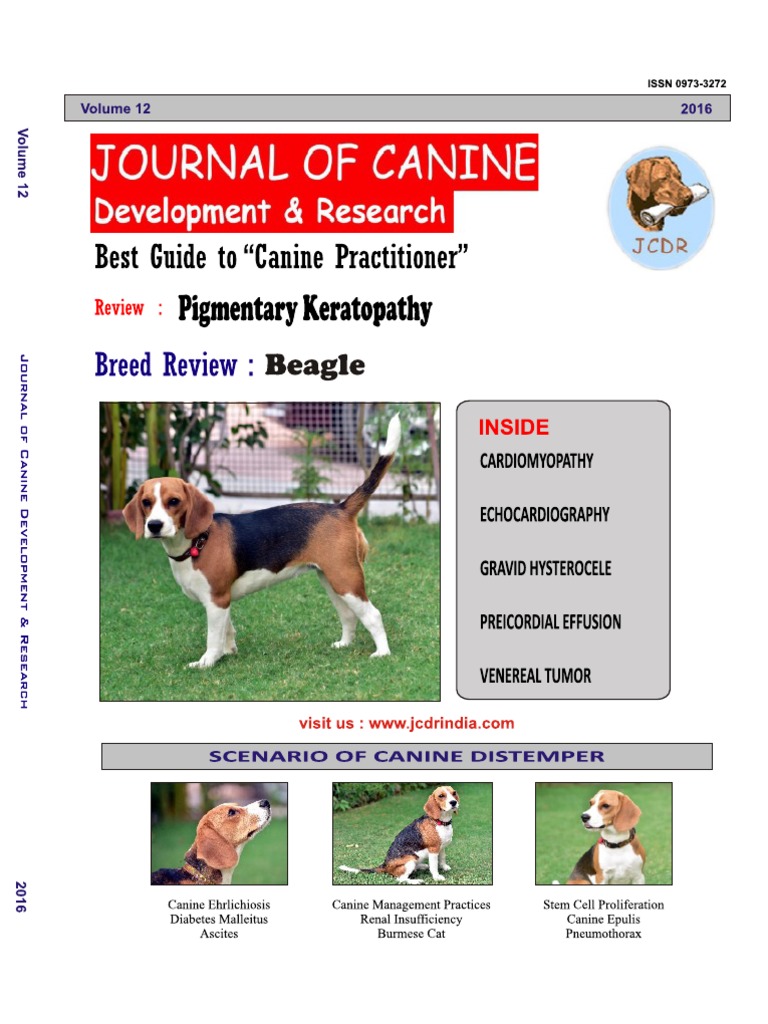 Vertebral Heart Score in Healthy Labrador Dogs | PDF | Cornea ...