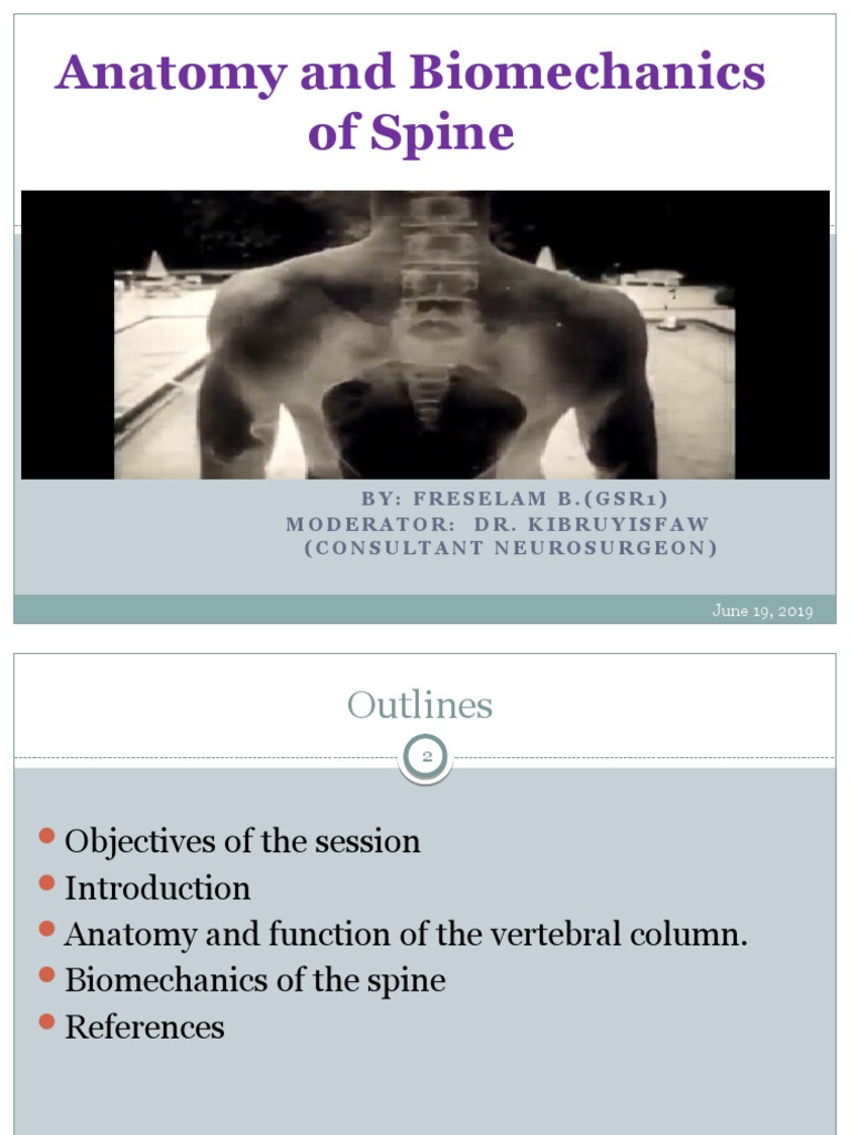Anatomy and Biomechanics of Spine | PDF | Vertebra | Vertebral Column
