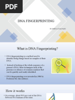 Biology Project On Dna Fingerprinting | PDF | Dna Profiling ...