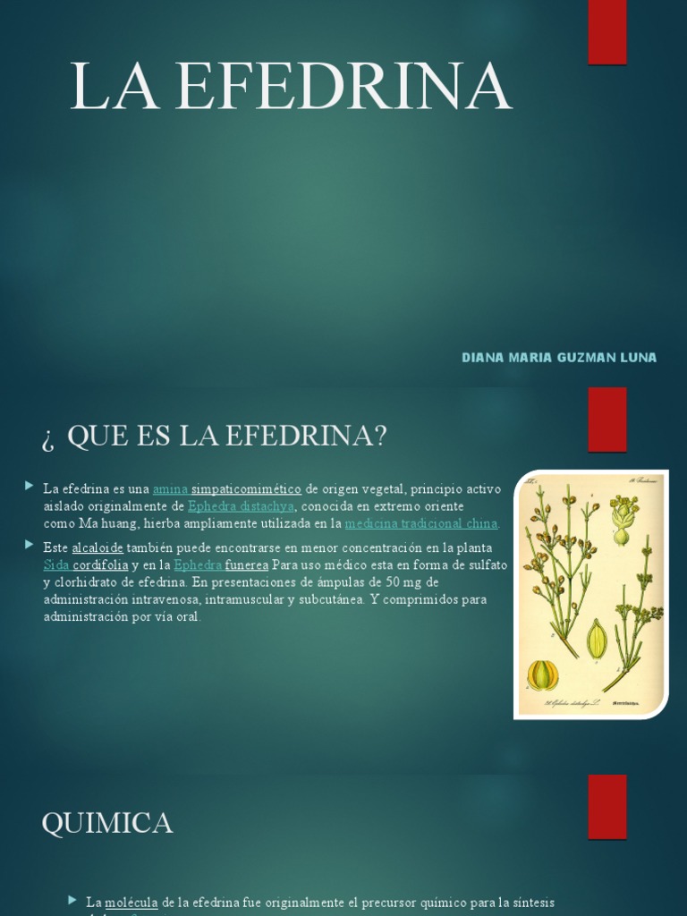 La Efedrina | PDF | Salud y bienestar