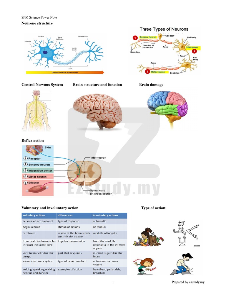 An Overview of Key Biology, Chemistry and Physics Concepts Covered in ...