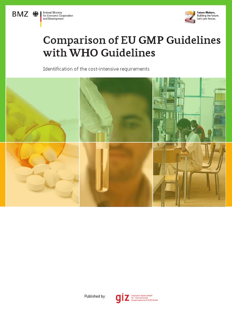 Giz2012 0398en Eu Who Guidelines | PDF | Verification And Validation ...