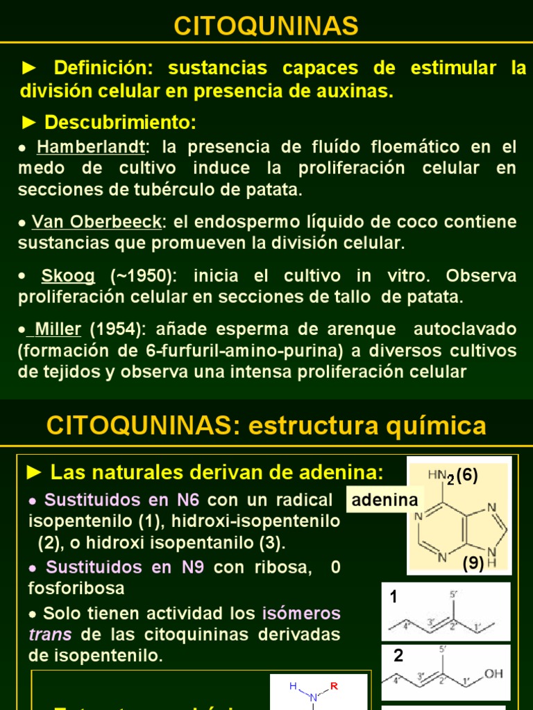 Citoquininas: Descubrimiento y Funciones | PDF | Biosíntesis | Receptor ...